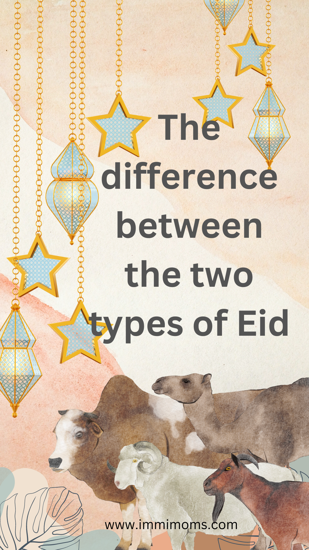 What is the difference between the two types of Eid? - Immi Moms