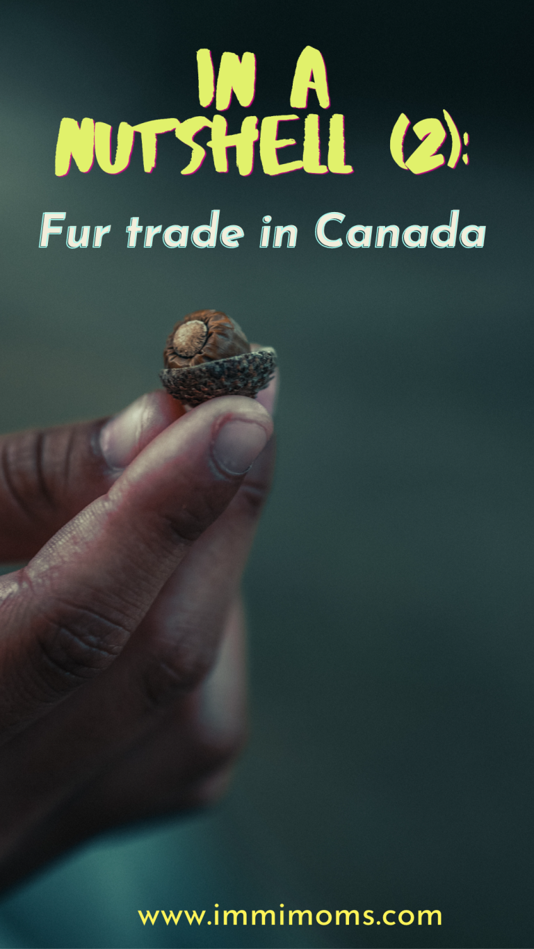 In a Nutshell (2): Fur Trade in Canada: the important facts - Immi Moms